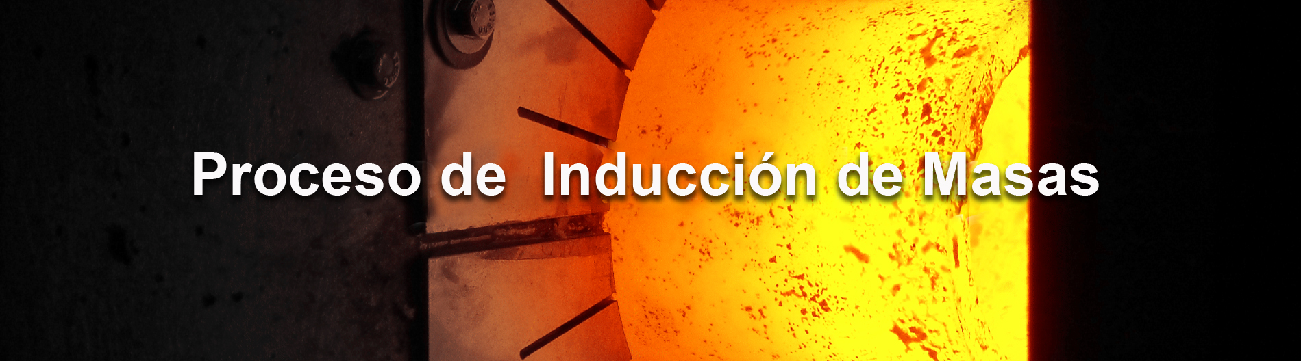 Proceso de Inducción de Masas :: interpowerinductionmexico